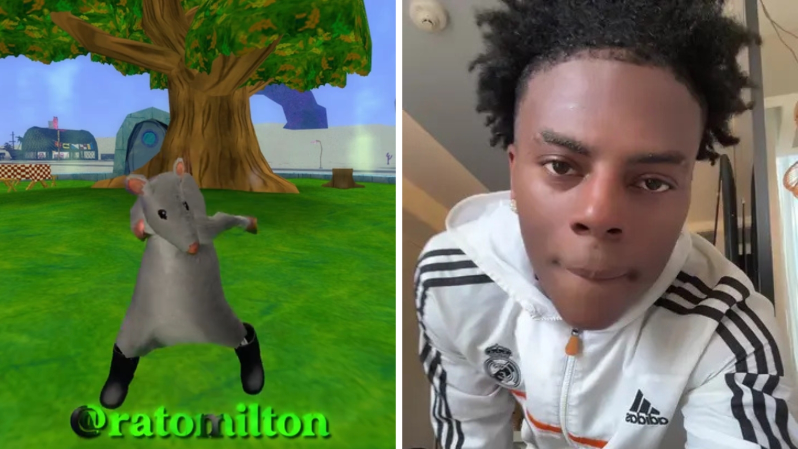 Rat Dance TikTokissa – IShowSpeed teki siitä megahitin